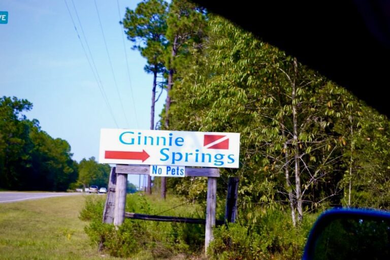 Ginnie Springs Summer Outdoor Adventure